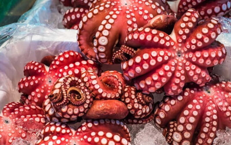 Tokyo: Tsukiji Market Small Group Tour - Practical Tips for Participants