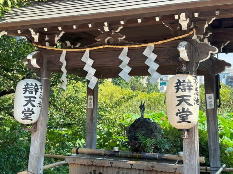 Tokyo: Ueno Park and Ameyoko Street Walking Tour - Key Points