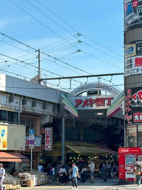 Tokyo: Ueno Park and Ameyoko Street Walking Tour - Practical Details and Why They Matter