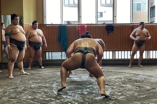 Tokyo: Visit Sumo Morning Practice with English Guide - In-Depth Look at the Sumo Morning Practice Tour