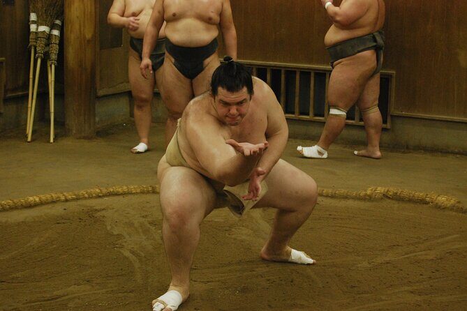 Tokyo: Visit To Sumo Stable & Watch Morning Practice - Who Will Love This?