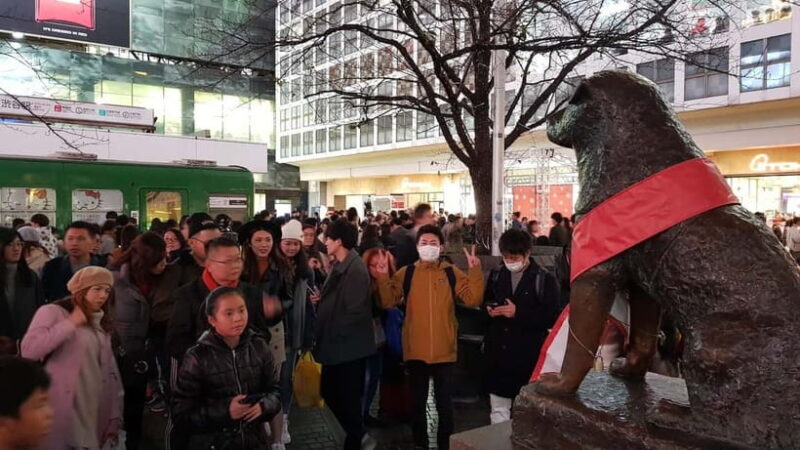 Tokyo Walk through: Shinjuku, Harajuku, Omotesando & Shibuya - Who Should Consider This Tour?