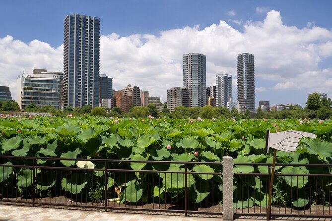 Tokyo Walking Tour 2h15 and 19 audio reviews - Price and Value Analysis