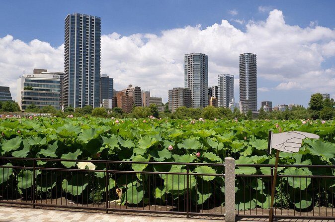 Tokyo Walking Tour 2h15 and 19 audio reviews - FAQs