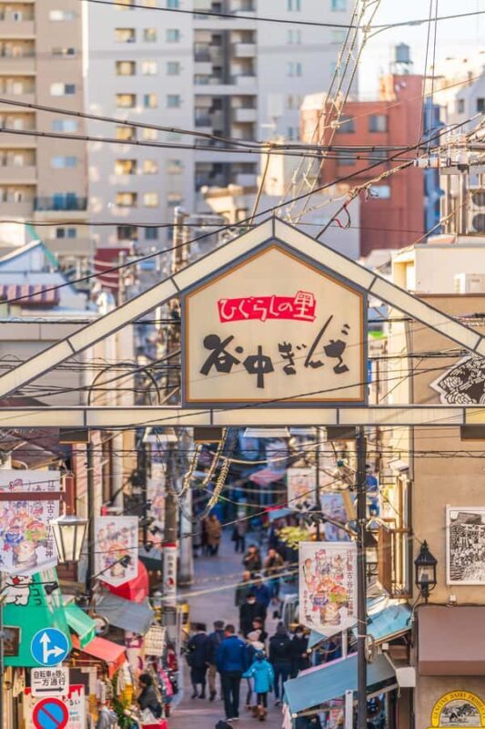 Tokyo: Walking Tour of Historic Shopping Streets - Shopping and Souvenirs