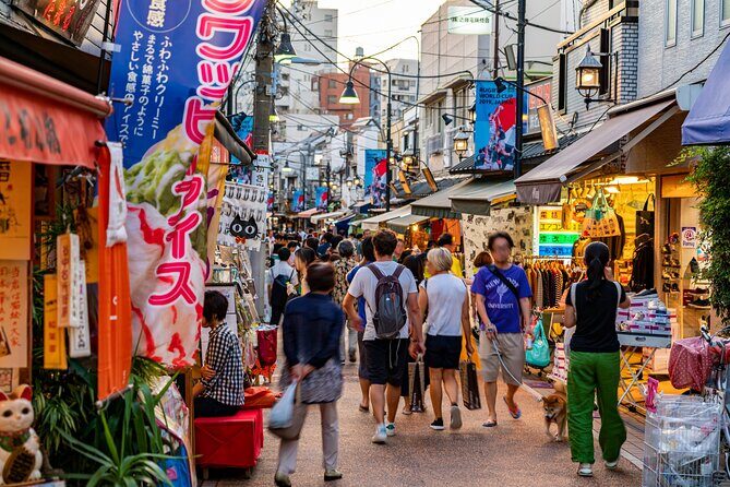Tokyo Walking Tour of Historic Shopping Streets Yanaka - Introducing the Tokyo Walking Tour of Historic Shopping Streets Yanaka