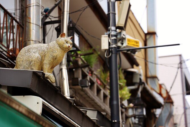 Tokyo Walking Tour of Historic Shopping Streets Yanaka - A Closer Look at the Tour Experience