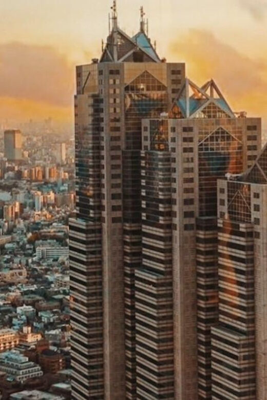 Tokyo Walking Tour with Licensed Guide Shinjuku - An In-Depth Look at the Tokyo Walking Tour in Shinjuku