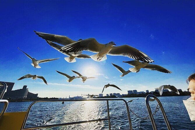 Tokyo Water Taxi Bayzone Tour - Who Will Love This Tour?