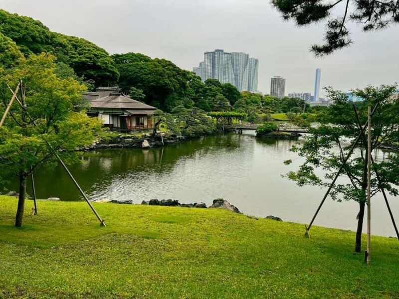 Tokyo Waterfront Tour: Tsukiji Market & Bay Area 3.5 Hrs - Key Points