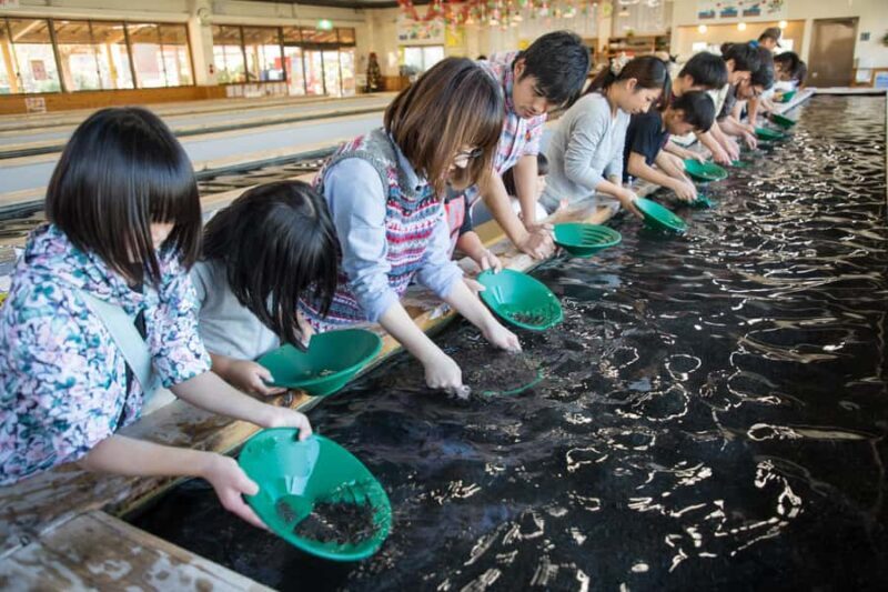 Tokyo: West Izu Day Trip - An In-Depth Look at the Tour