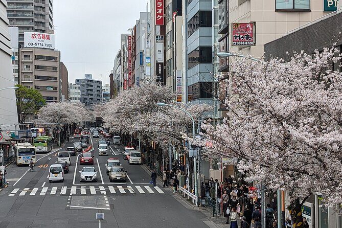 Tokyo West super local walking Tour - Who Would Appreciate This Tour?