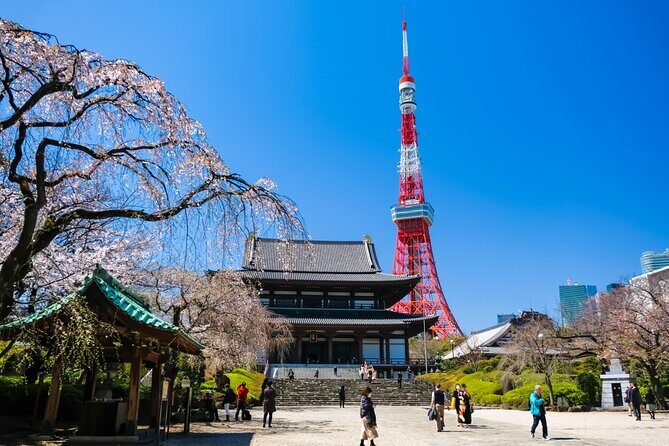 Tokyo Wheelchair-Friendly Custom Day Tour: Asakusa, Tsukiji - Key Points