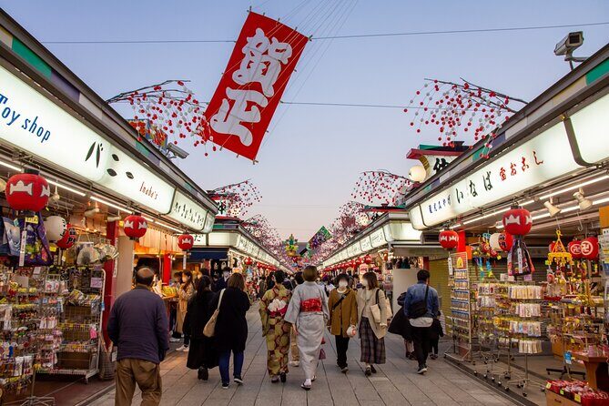 Tokyo Wheelchair-Friendly Custom Day Tour: Asakusa, Tsukiji - A Deep Dive Into the Experience