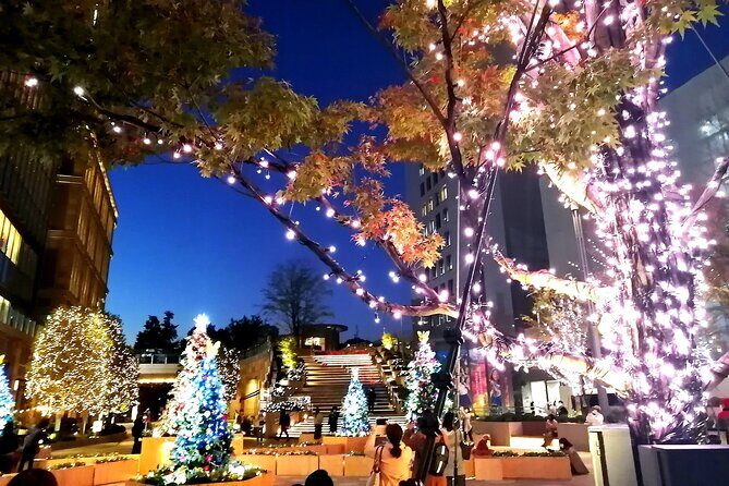 Tokyo Winter Illumination Ebike Tour - Why Choose the Tokyo Winter Illumination Ebike Tour?