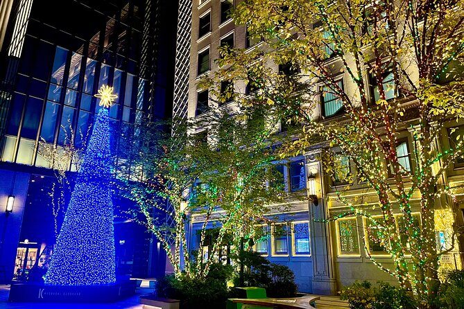 Tokyo Winter Illumination Ebike Tour - Feedback from Past Participants