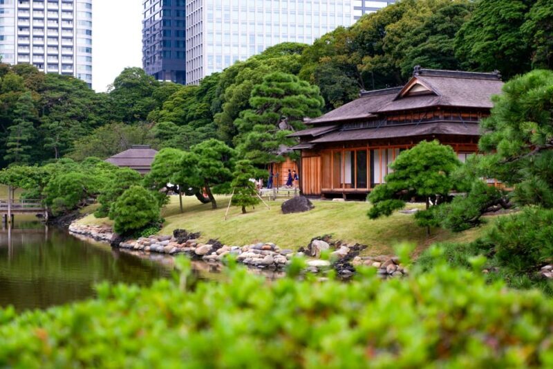 Tokyo: with Private Car Personalized Private 6-Hour Tour - Key Points