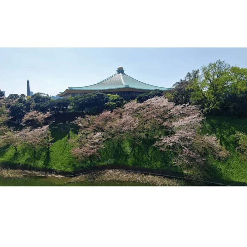 Tokyo WWII: Kamikaze Secrets, Samurai Spirit & Zero Fighter - FAQ