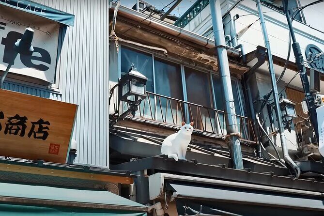 Tokyo: Yanaka and Ueno, the Tokyo of Tradition - Authentic Experiences and Hidden Gems