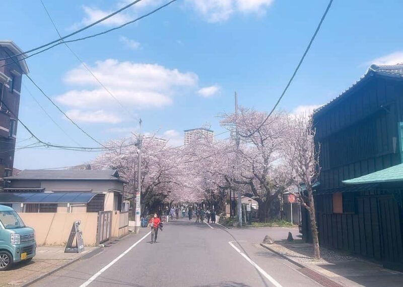 Tokyo: Yanaka and Ueno Walking Tour with Beer - Starting Point: NewDays KIOSK