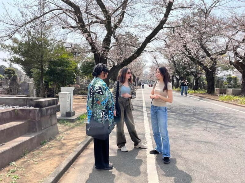 Tokyo Yanaka Old Town Walking Tour (Private/Local guide) - Key Points