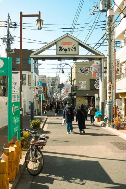 Tokyo: Yanaka Old Town Walking Tour - What Makes This Tour Valuable?
