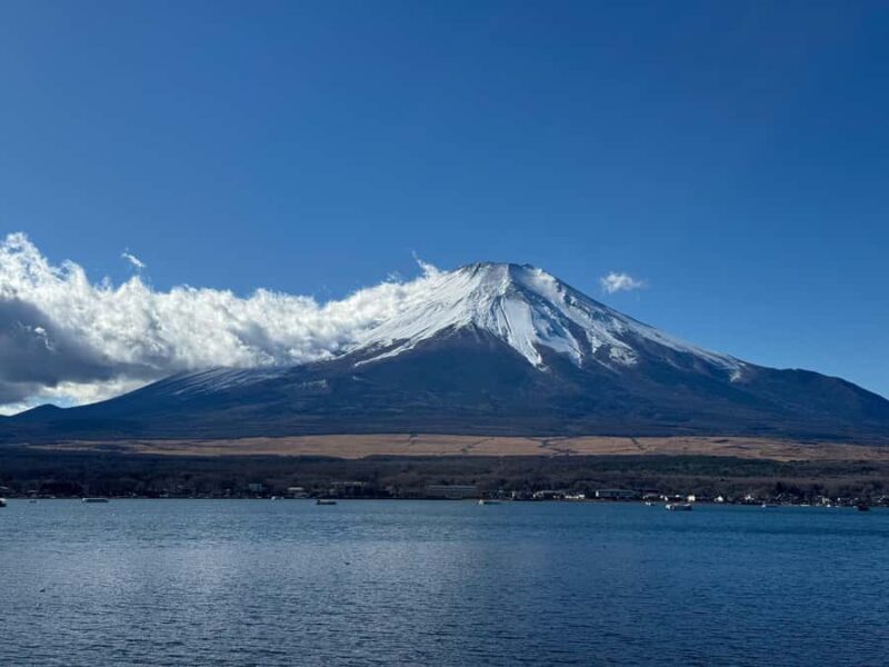 Tokyo/Yokohama: Mount Fuji & Hakone Private Full-Day Tour - Key Points