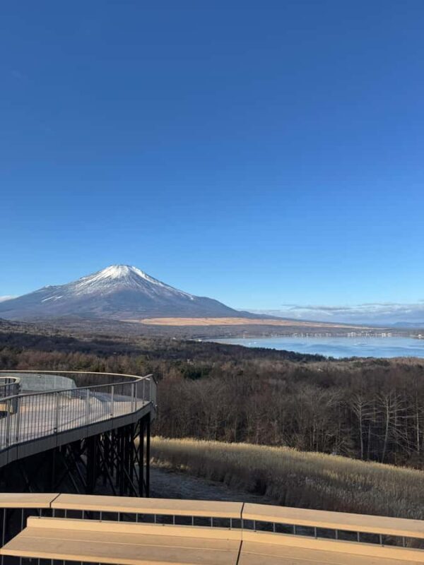 Tokyo/Yokohama: Mount Fuji & Hakone Private Full-Day Tour - A Detailed Look at the Tour Experience
