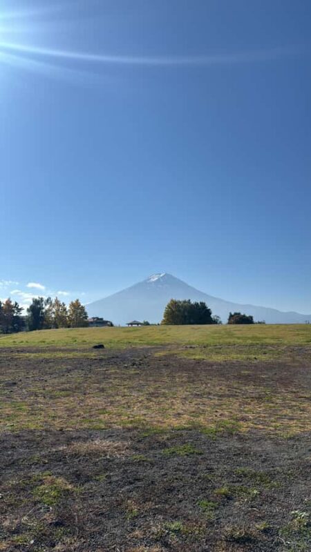 Tokyo/Yokohama: Mount Fuji & Hakone Private Full-Day Tour - Who Will Enjoy This Tour?