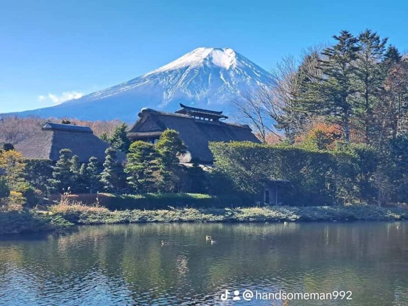 Tokyo/Yokohama: Mount Fuji & Hakone Private Full-Day Tour - The Sum Up