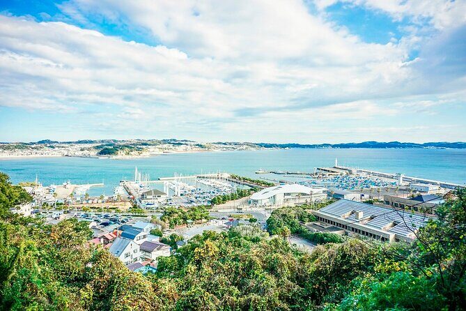 Tokyo Yokohama Night View Tour With Kamakura And Enoshima Island - Key Points