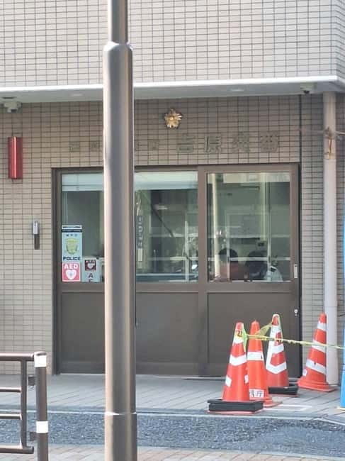 Tokyo: Yoshiwara Brothel History Walking Tour - An In-Depth Look at the Yoshiwara Brothel History Tour