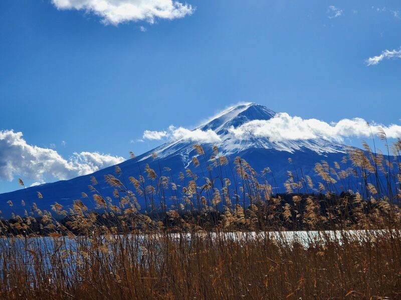 Tokyo:2 Days Mount Fuji & Hakone Private Tour (Customizable) - Practical Tips for Travelers