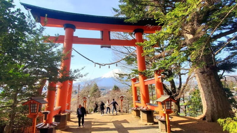 Tokyo:2 Days Mount Fuji & Hakone Private Tour (Customizable) - Worth It? Analyzing the Value