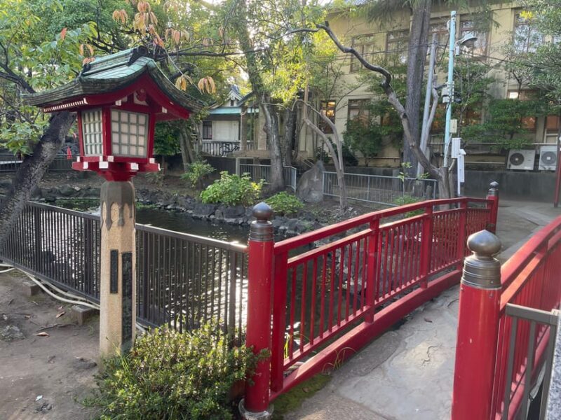 Tokyo:A cultural journey and a little bar hopping in izakaya - Final Thoughts
