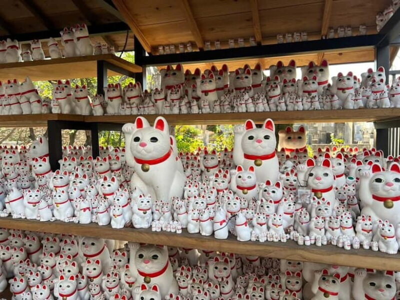 Tokyo:An Unique temple Walking Tour for cat lovers - Key Points