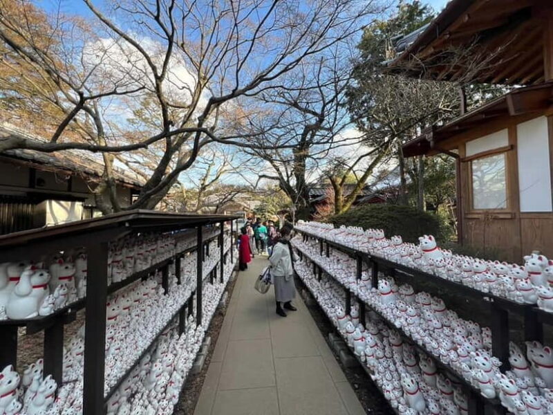 Tokyo:An Unique temple Walking Tour for cat lovers - An Overview of the Tour