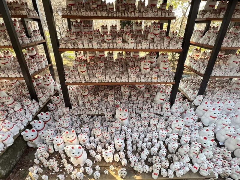 Tokyo:An Unique temple Walking Tour for cat lovers - Detailed Itinerary Breakdown