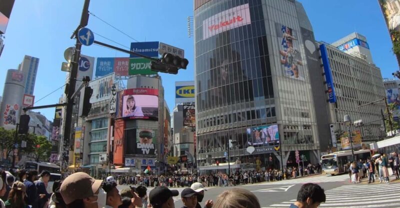 TokyoCalligraphy & Zen Mindful Journey+Take Home Memory - Authentic Reviews