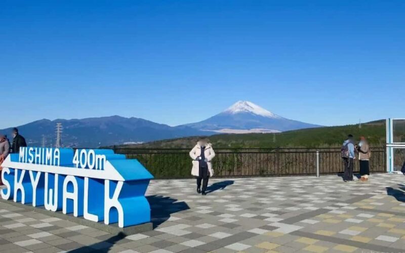 Tokyo:Customizable Private Day Trip to Mt.Fuji & Safari Park - Authentic Experiences and Local Flavor