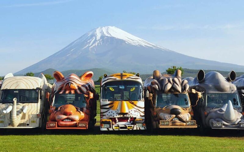 Tokyo:Customizable Private Day Trip to Mt.Fuji & Safari Park - Final Thoughts