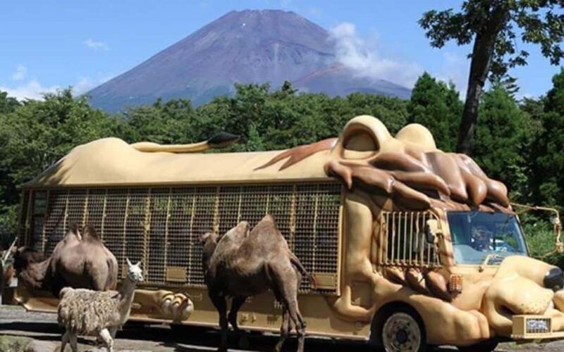 Tokyo:Customizable Private Day Trip to Mt.Fuji & Safari Park - FAQ