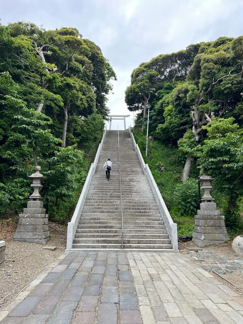 Tokyo:Hitachi seaside Park/Oarai isosaki shrine private tour - Tokyo: Hitachi Seaside Park / Oarai Isosaki Shrine Private Tour – A Complete Guide