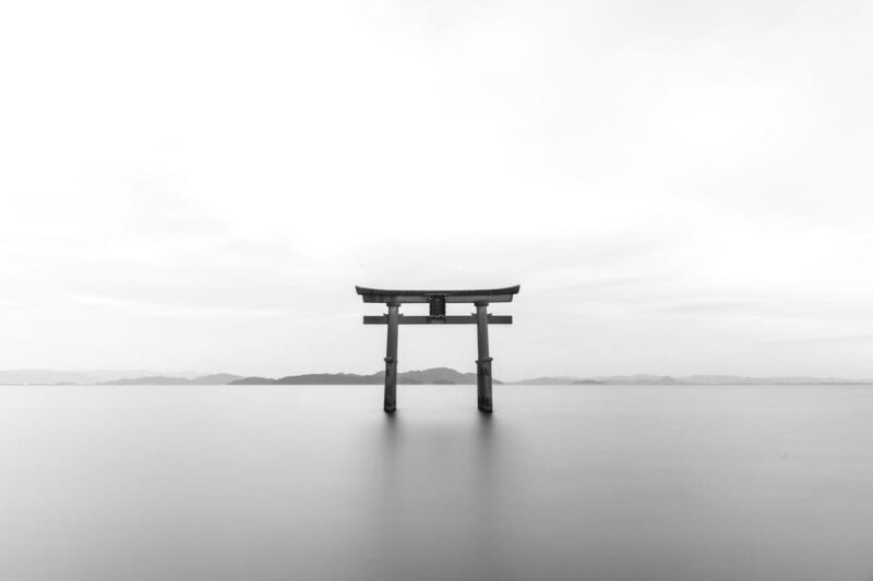 Tokyo:Hitachi seaside Park/Oarai isosaki shrine private tour - Who Benefits Most from This Experience?