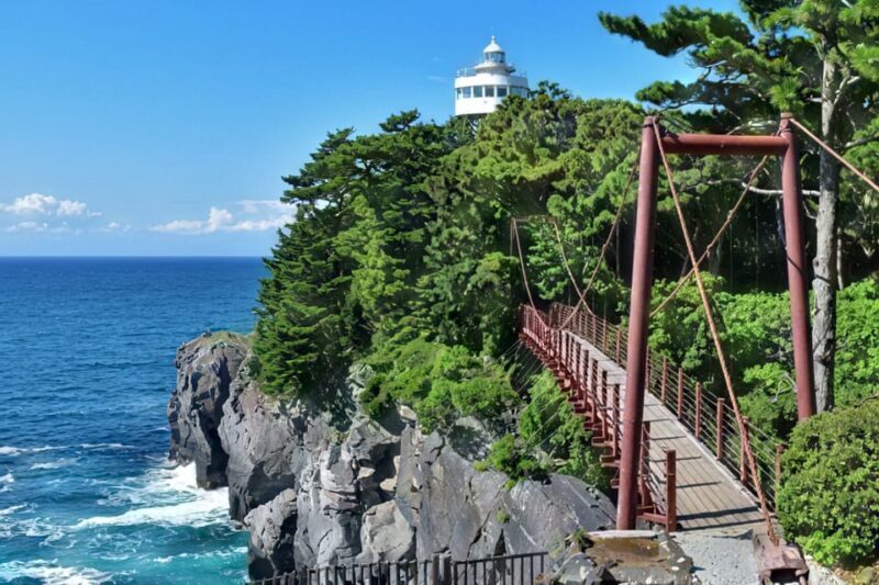 Tokyo:Izu Penisula Train Mt Omuro, Capybara Sightseeing Trip - Choose Your Izu Experience: Mt. Omuro or Cactus Park & Capybaras