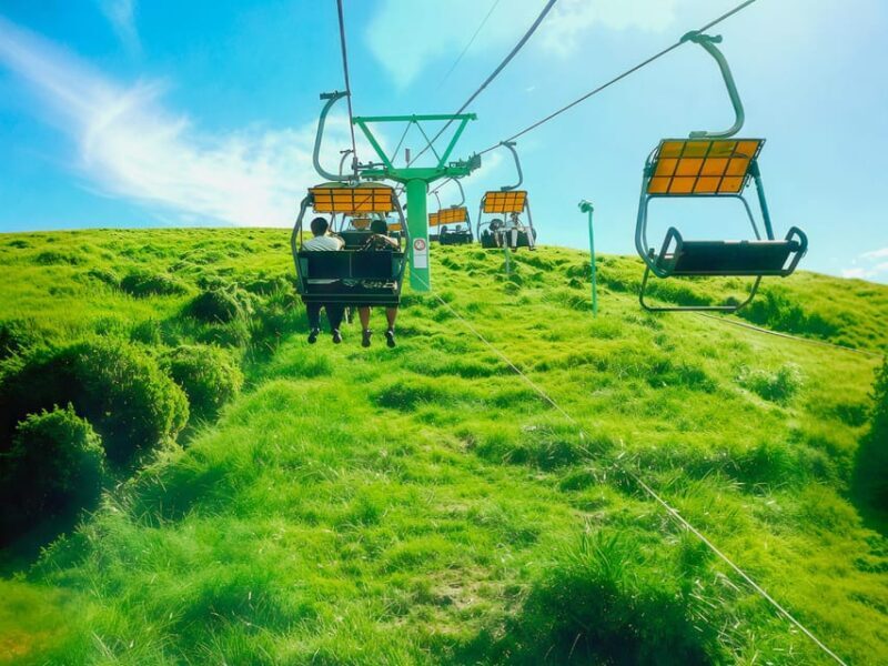 Tokyo:Izu Penisula Train Mt Omuro, Capybara Sightseeing Trip - Final Thoughts