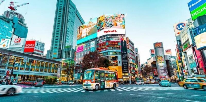 Tokyo:Luxury Private Tour with English-Speaking driver - What’s Included and What’s Not
