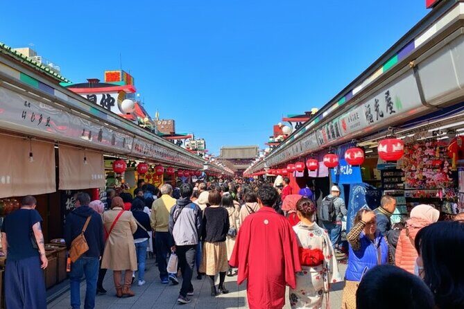 Tokyo:Meiji Shrine,Imperial Palace,Asakusa,Odaiba,cruise - Transportation & Group Experience