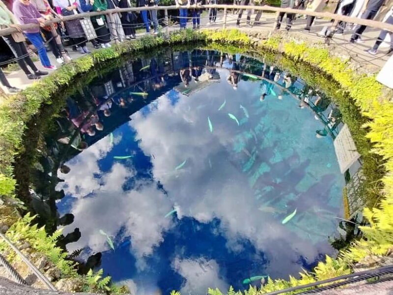 Tokyo:Mt.Fuji 5th Station,Oshino Hakkai&Kawaguchiko Day Tour - Who Is This Tour Best Suited For?