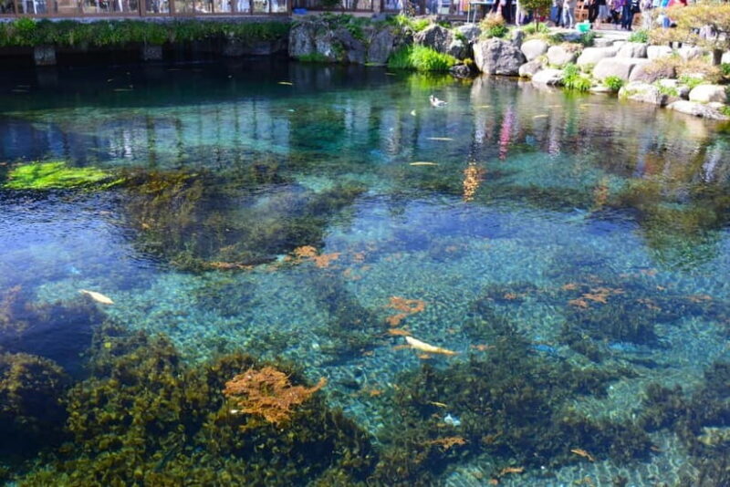 Tokyo:Mt.Fuji 5th Station,Oshino Hakkai&Kawaguchiko Day Tour - Final Thoughts